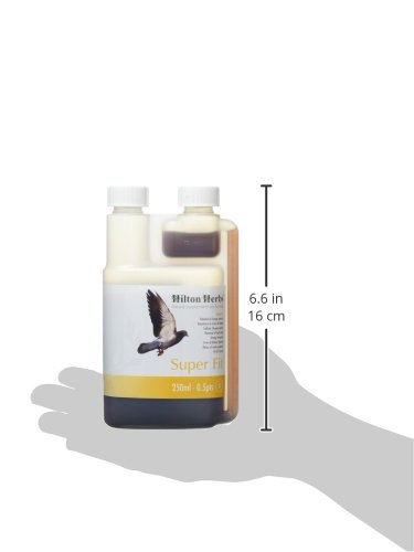 Hilton Herbs 27002 Super Fit-Natural Energy For Racing Pigeons Bottle, 0.5 Pint