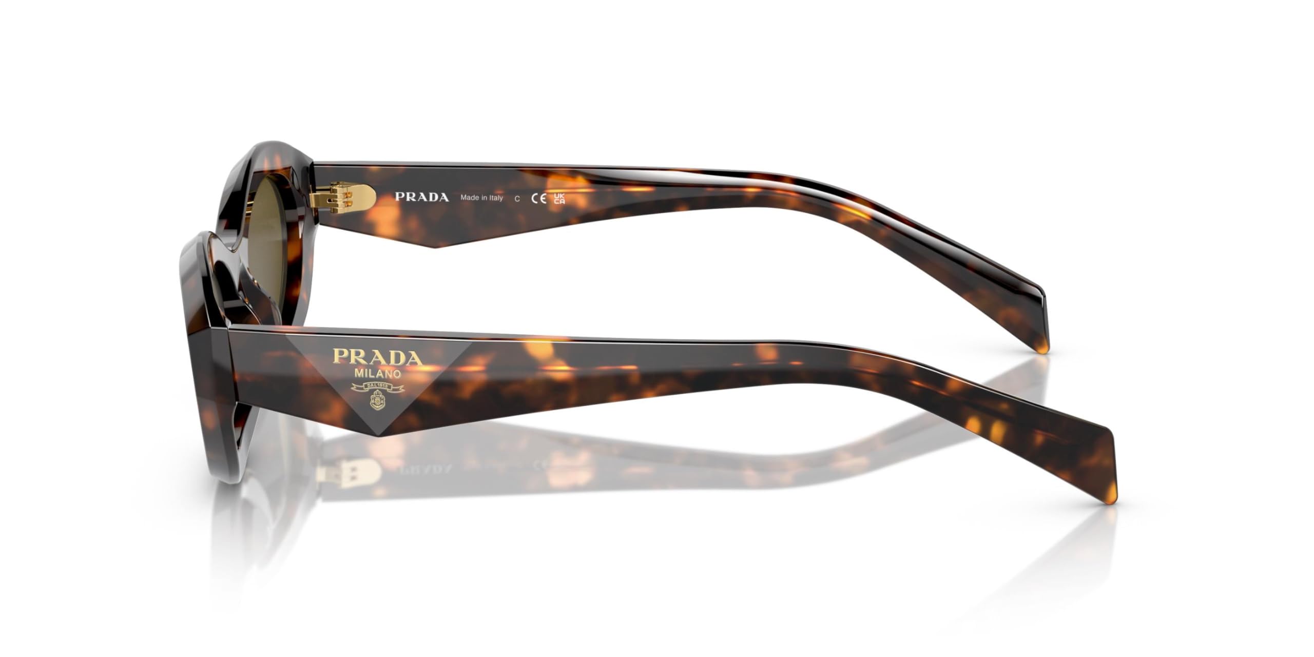 Prada PR 26ZS Honey Tortoise/Dark Brown One Size