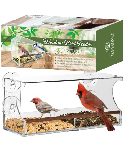 Nature's Envoy Window Bird Feeder – Clear View for Birdwatching - Strong Suction Cups for Outside - Slide Out Seed Tray w/Drain Holes for Easy Refill & Clean - Acrylic Outdoor Feeder for Wild Birds