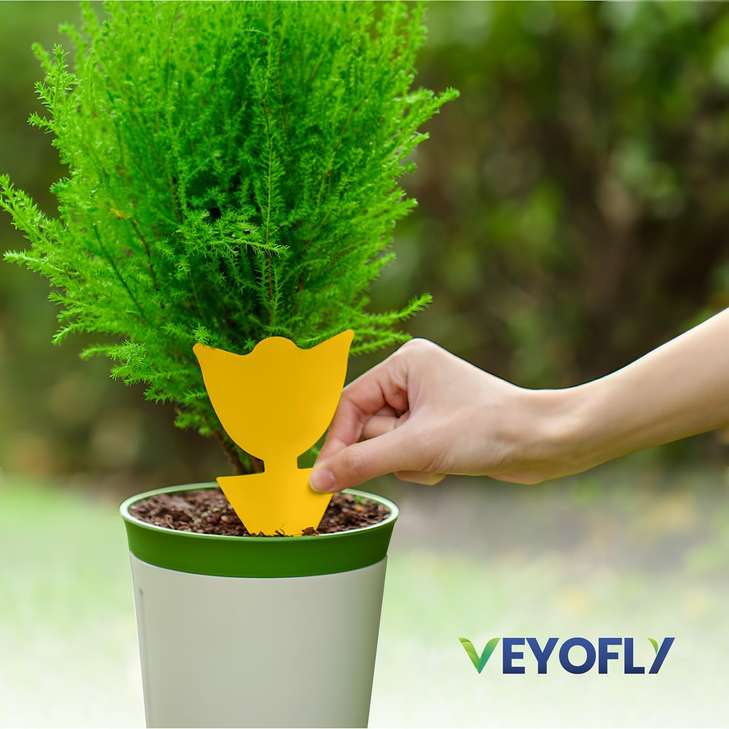 Veyofly Sticky Traps for Plants and Windows, Bundle with 5 Yellow Sticky Traps for Gnats & 5 Window Fly Traps -Gnat Trap, Bug Sticky Traps, Fungus Gnat Trap, Fly Strips, Fly Tape- Pack of 10β
