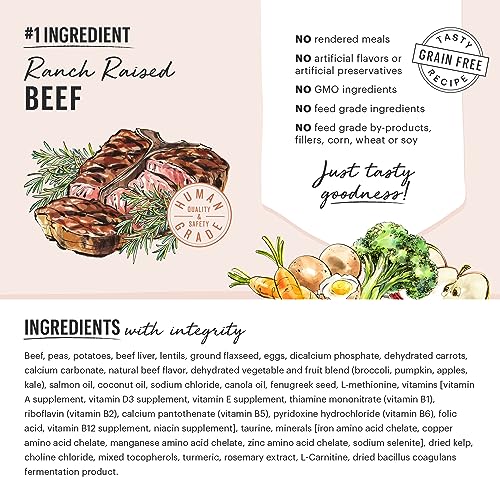 The Honest Kitchen Whole Food Clusters Small Breed Grain Free Beef Dry Dog Food, 4 lb Bag