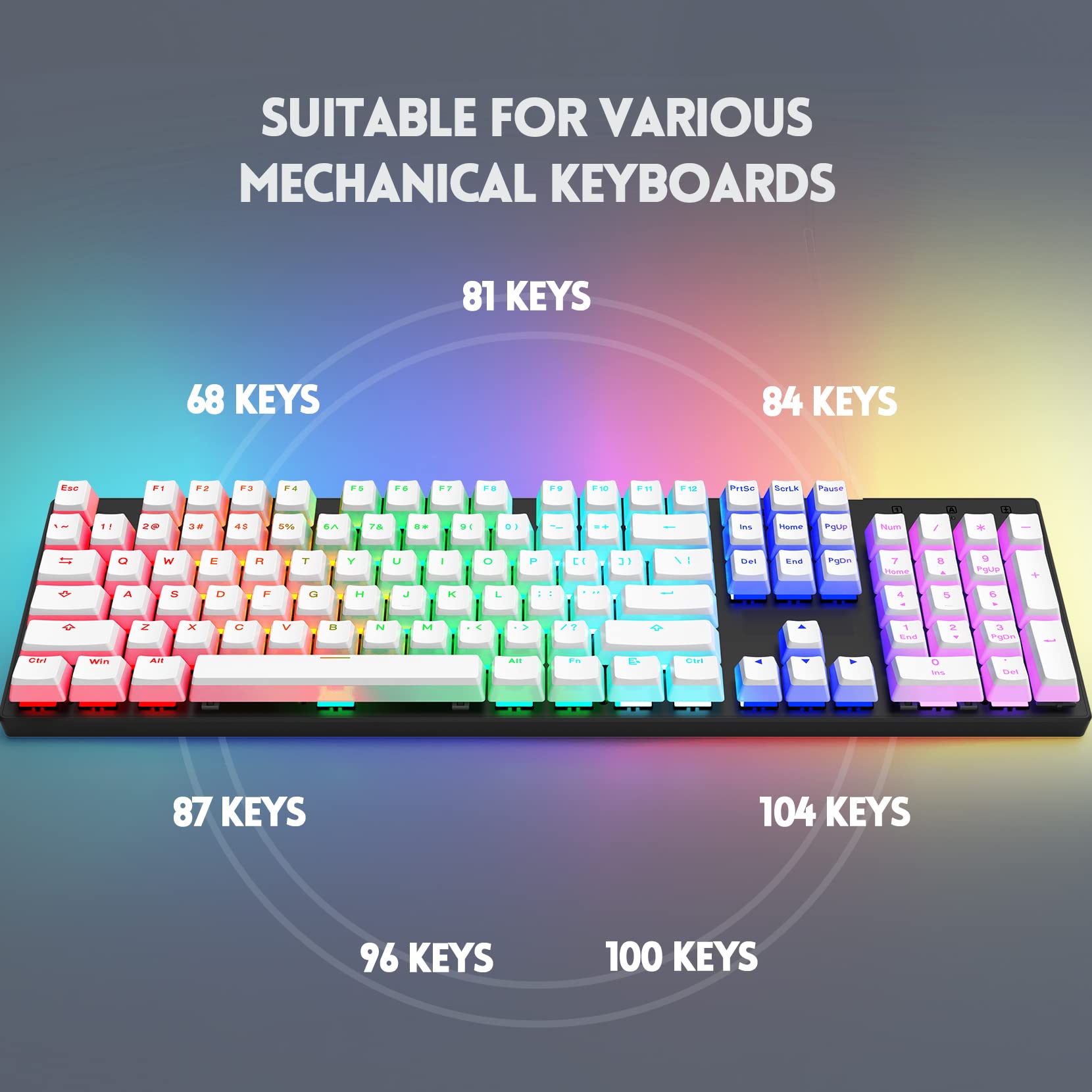 RisoPhy Pudding Keycaps Double Shot PBT Keycap Set for Mechanical Keyboard,OEM Profile with Keycap Puller,Compatible with 104 Keys Full Size,80%,75%,60% Percent Keyboard-White