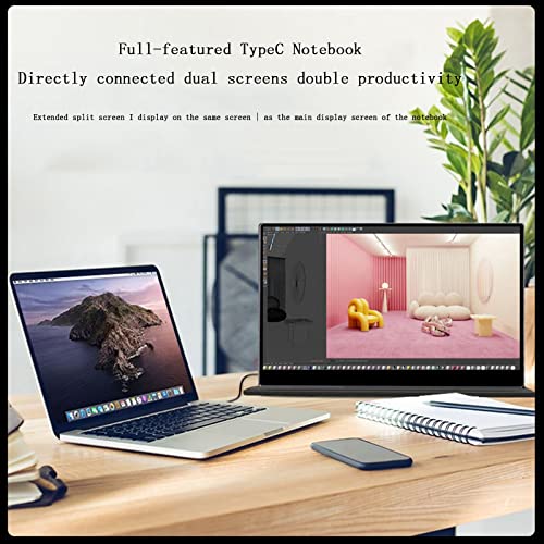 Portable Display External Notebook Mobile Phone Display Convenient Expansion Secondary Screen, 14/15.6in, 1080p/IPS Panel (Color : HDMI, Size : 14in)