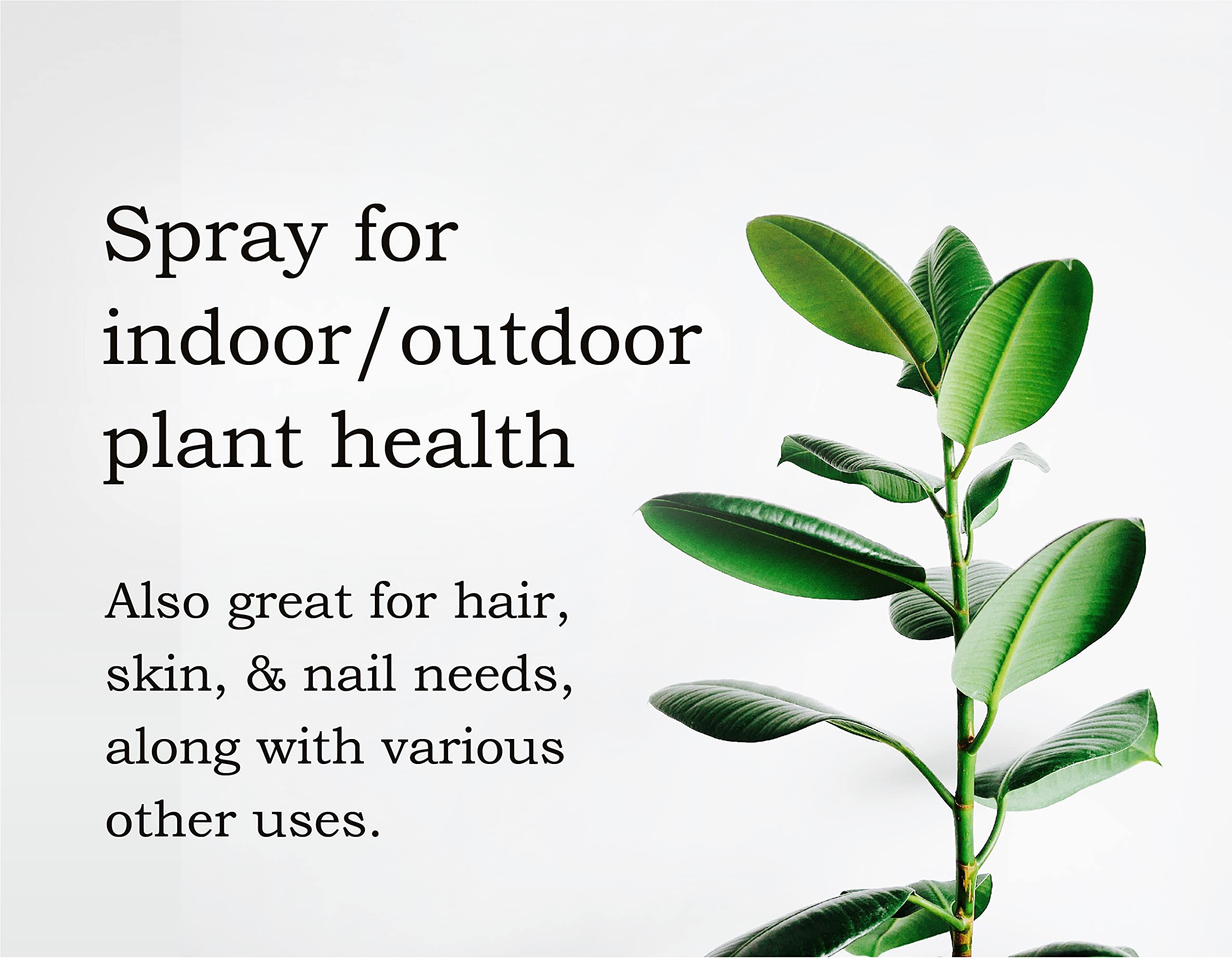 Liquid Harvest 100% Cold Pressed Neem Oil 16oz, Rich Azadirachtin Content for Plants & Neem Oil Spray Solutions