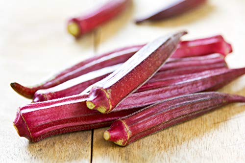 Red Burgundy Okra Seeds for Planting, 100+ Heirloom Seeds Per Packet, (Isla's Garden Seeds), Non GMO Seeds, Botanical Name: Abelmoschus esculentus, Great Home Garden Gift