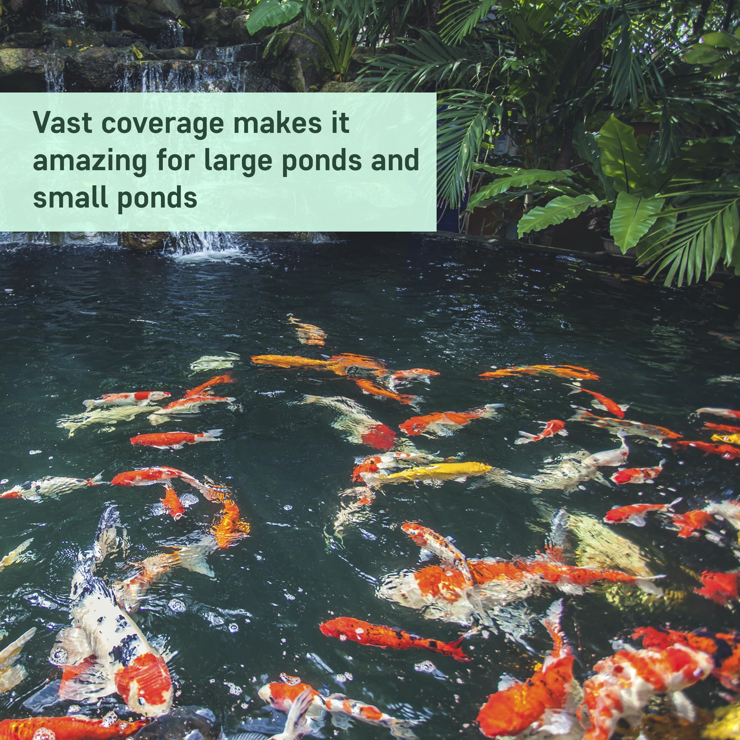 Pond Clarifier - Fish-Friendly Koi Pond Water Clarifier to Quickly Clear Murky Pond Water and Remove Pond Sludge with Natural Enzymes - Fish Pond Water Treatment - AquaDoc Pond Supplies
