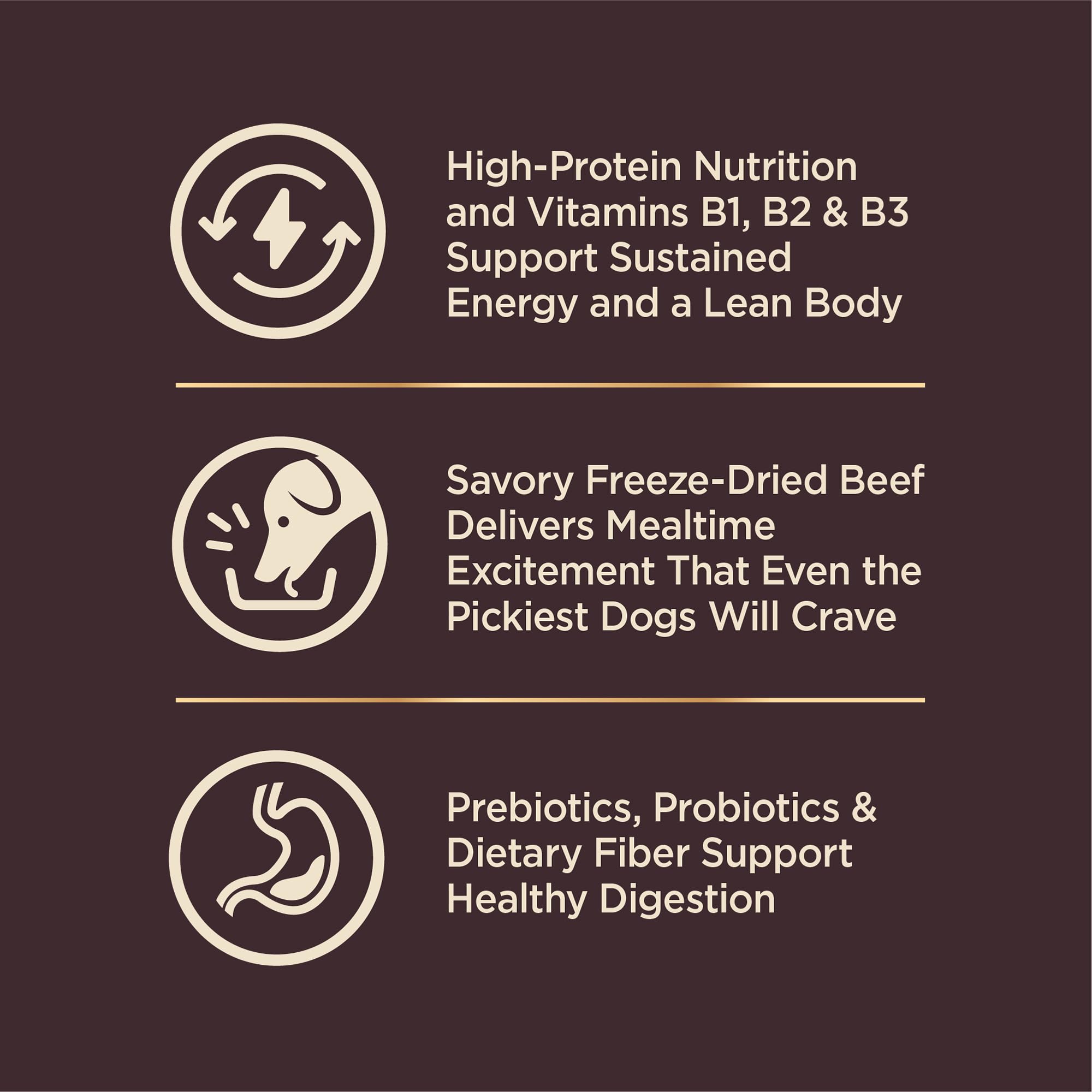 Wellness CORE+ (Formerly RawRev) Grained Dry Dog Food, Beef & Barley Recipe, 4 Pound Bag