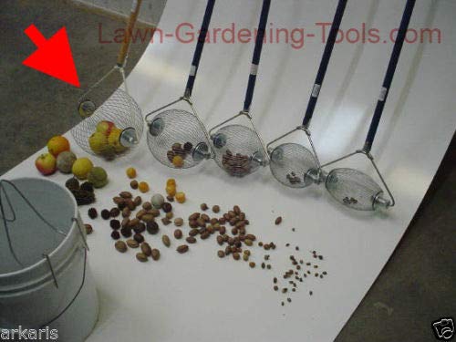 Large Nut Wizard- Nut Picker Upper for Black Walnuts and Sweet Gumball Rake 17"