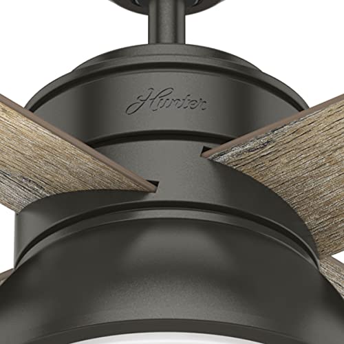 Hunter Loki Indoor with LED Light with Pull Chain Control, 52", Noble Bronze