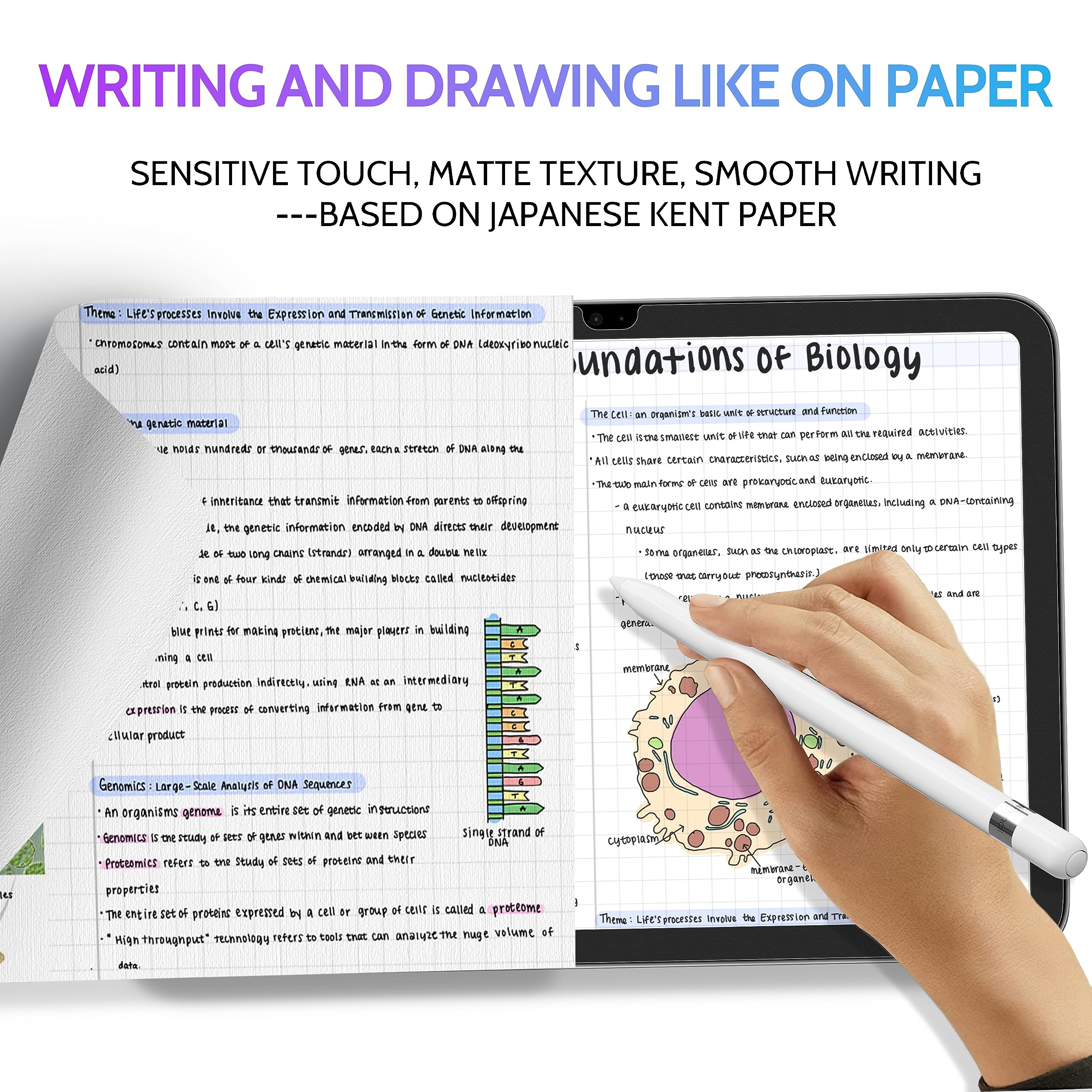 Peslv 2 Pack Anti Blue Light Paper Film for iPad 10th Gen 2022 (10.9 Inch), Drawing & Writing Feel Like on Paper, Matte Anti Glare PET Screen Protector, BlueLight Filter Eye Protection Cover