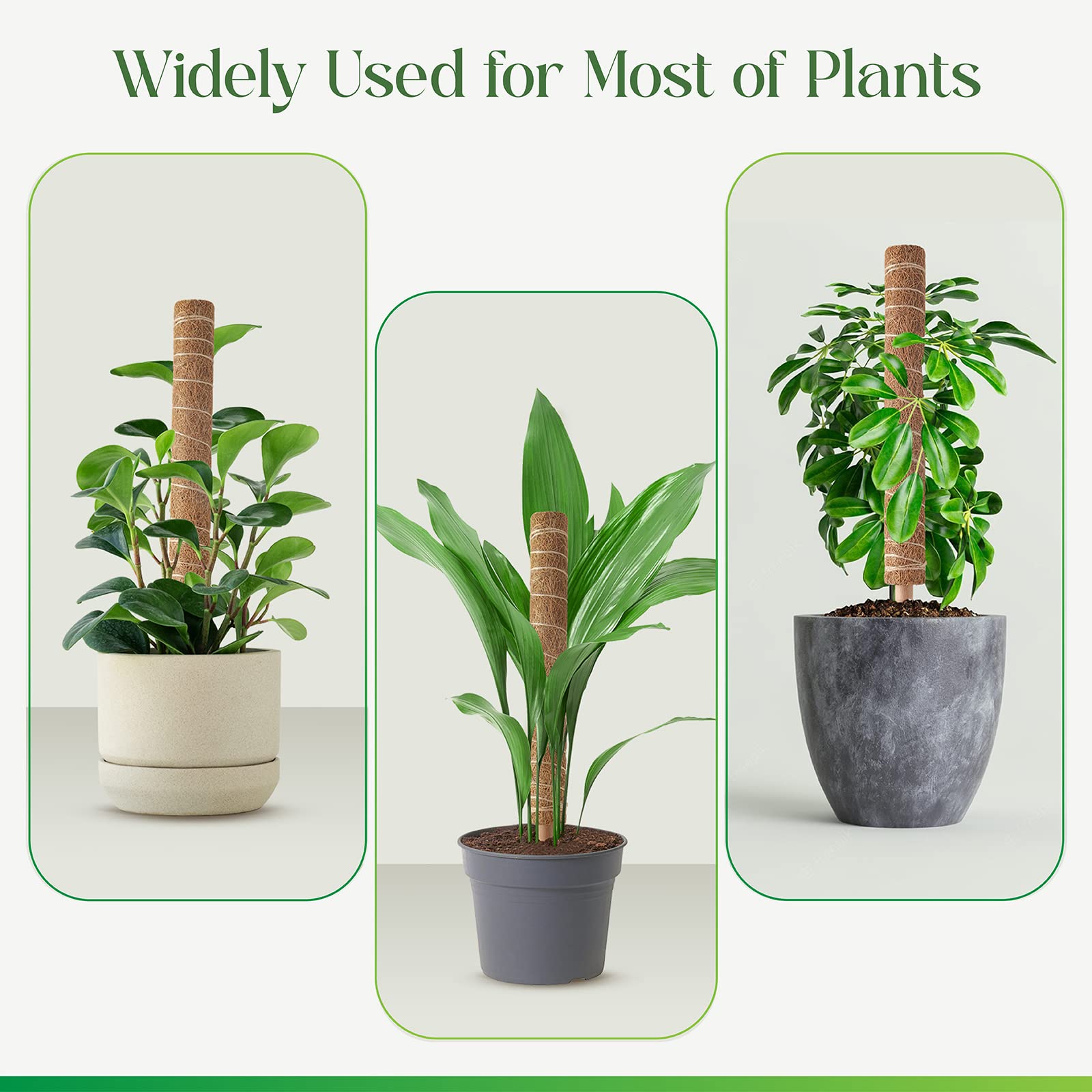 Pisol Moss Pole for Plants Monstera, Extendable Plant Sticks Support, Plant Stakes for Indoor Potted Plant, 15.7'' Coco Coir Pole Plant Trellis for Sphagnum, Pothos and Other Climbing Plants(2 PCS)
