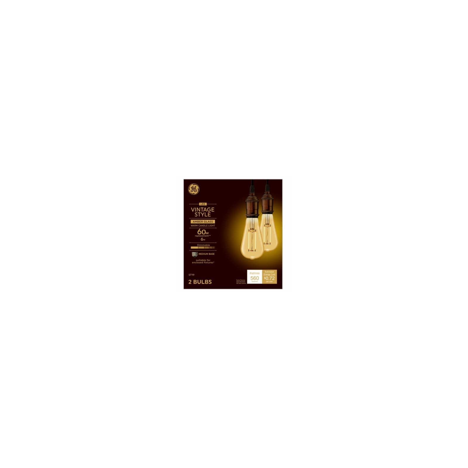 LED Vintage Light Bulb, ST19, Warm White, Amber Bulb, 560 Lumens, 6-Watt, 2-Pk.