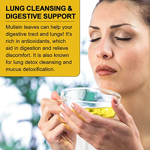 Mullein Leaf Herbal Tea for Respiratory Support, Mullen Tea for Lung Cleanse, Iymphatic Cleanse & Detox and Immune Support - No Caffeine, Non-GMO - 40 Tea Bags
