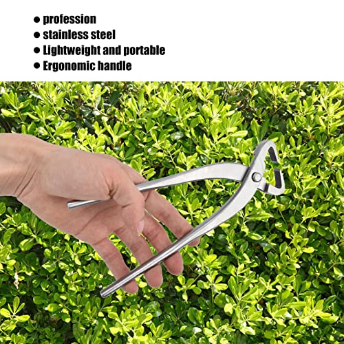 MIGONG Bonsai Scissors, 210Mm Profession Bonsai Tools Portable Tree Branch Cutter Stainless Steel Bonsai Bonsai Tree Kit for Even Flowers Fruit Trees Bonsai Garden Plants Home Plants