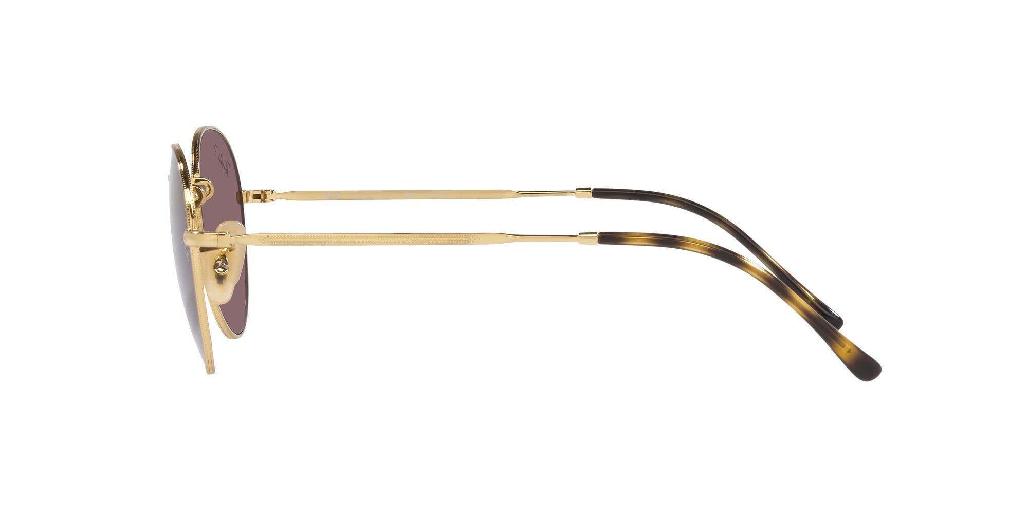 Ray-Ban RB3582 David Round Sunglasses, Gold/Dark Violet Polarized, 51 mm