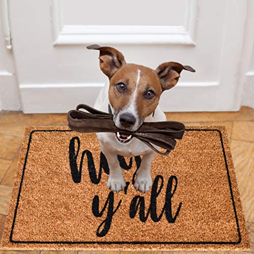 NINAMAR Door Mat Hey Y'all Natural Coir β 29.5 x 17.5 inch
