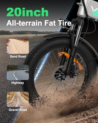 VICTRIP Folding Electric Bike