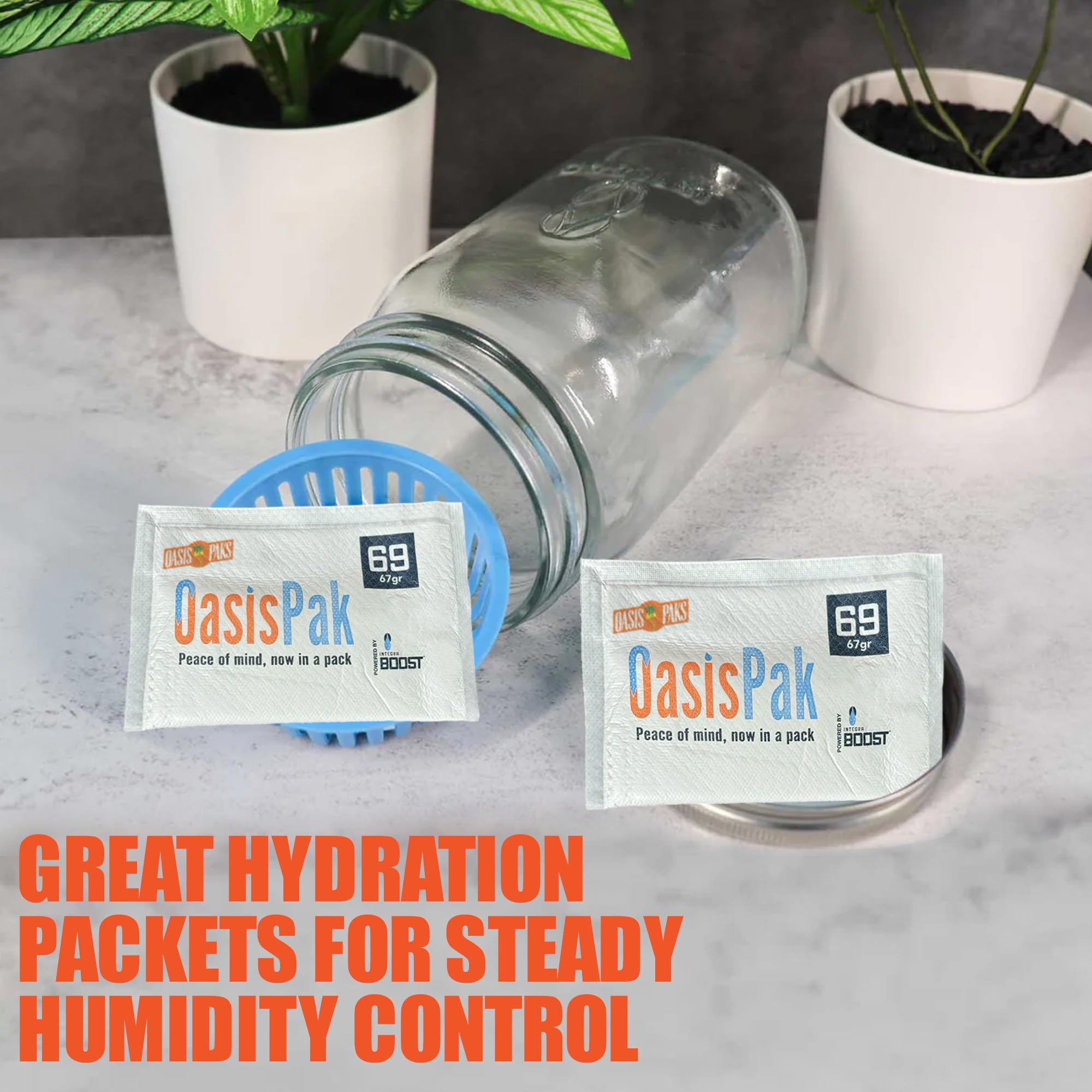 Oasis Pak Two-Way Humidity Packs - Ultimate Moisture Packs for Storage - Prevent Overdrying - Ideal Humidifier Packs & Hydration Packets - 67 Grams, 69% Humidity Level (1 Pack)