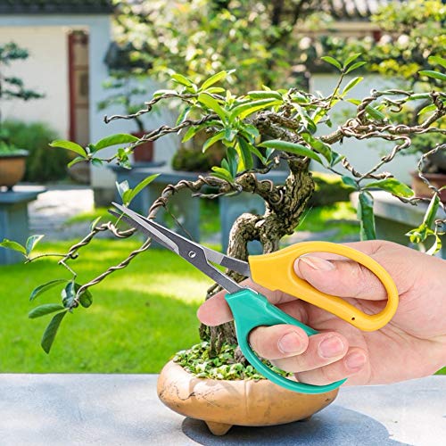 Plant Trimming Scissors, Stainless Steel Fruits Grape Pruning Shears Gardening Scissor for Bonsai Fruit Pruning