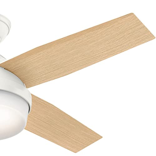 Hunter Dempsey Indoor Ceiling Fan with LED Light and Remote Control, 44", White
