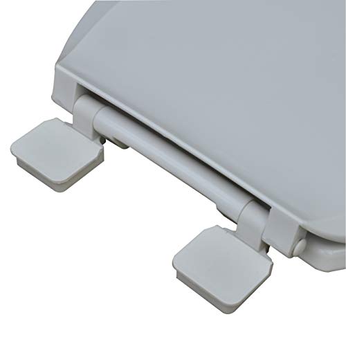 Plumbing Technologies, LLC 2F1E1-00 Toilet Seat, Elongated, White