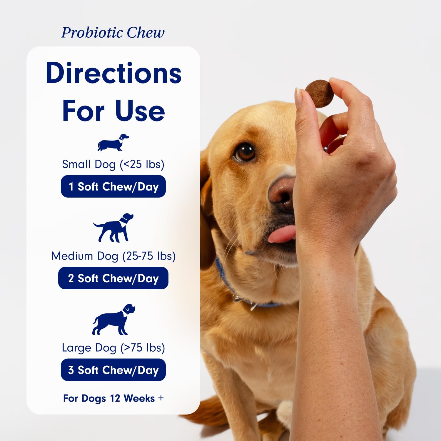 PetLab Co. β Gut & Breath Bundle: Dental Powder for Fresh Breath in 1 Scoop. for Small Dogs & Salmon Dog Probiotics to Support a Healthy Gut - Easy to Use β Innovative Formulas