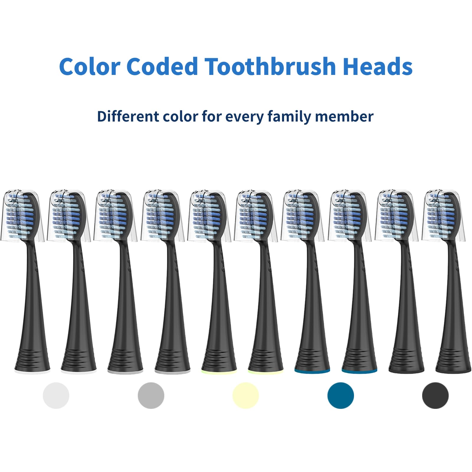 Replacement Toothbrush Heads for AquaSonic Black Series, 8 Count