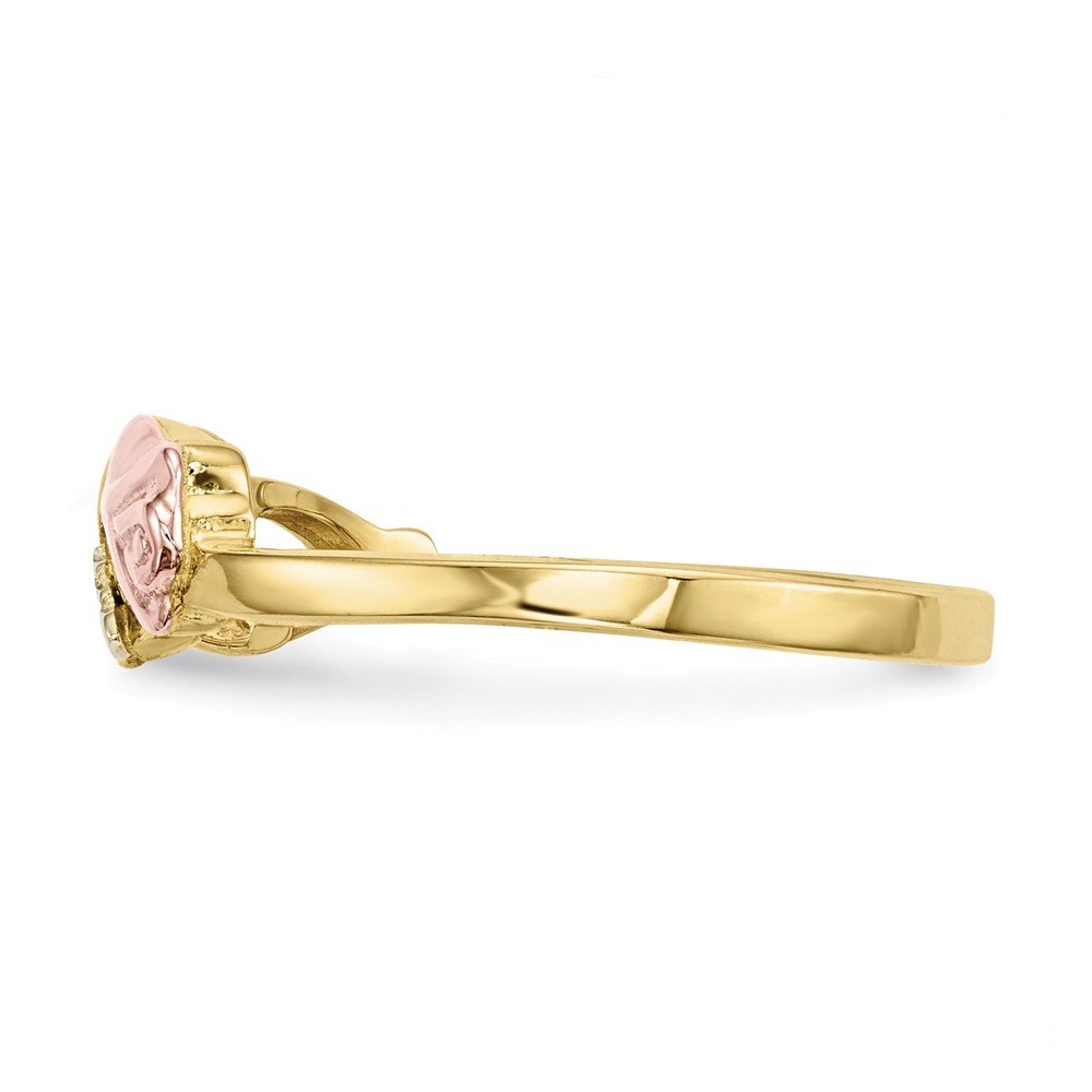 Jewels By Lux 10k Yellow Gold and White Gold Black Hills Gold Diamond Ring