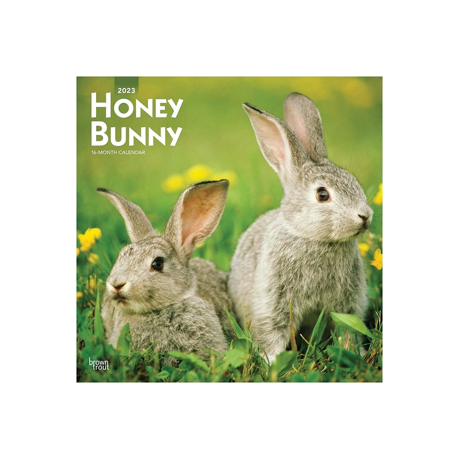 Honey Bunny | 2023 12 x 24 Inch Monthly Square Wall Calendar | BrownTrout | Domestic Small Cute Animals