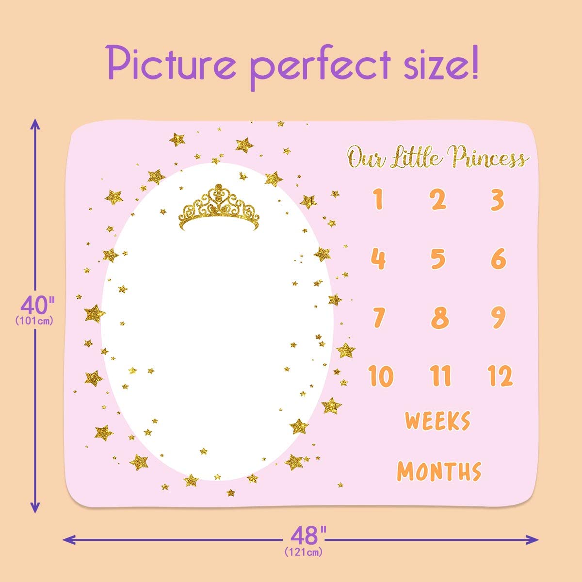 PHMOJEN Monthly Milestone Blanket for Baby Girl, 48"x40" Soft Flannel Pink Princess Memory Growth Blanket, Photography Backdrop Prop for Newborn Baby Shower, 1 to 12 Months Include Marks BTLSPH819