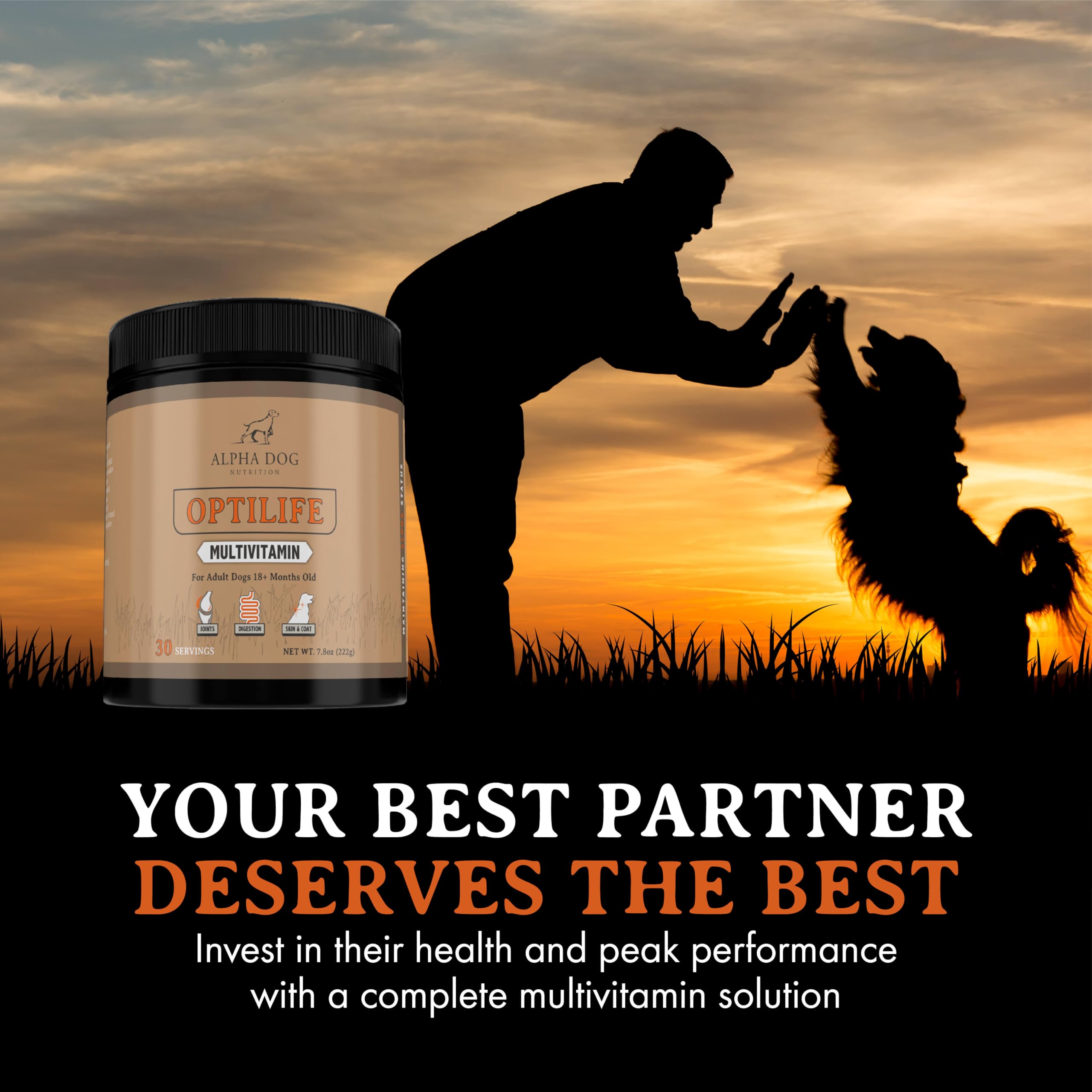 OptiLife Multivitamin for Adult Dogs - Contains Probiotics, Allergy Support, Joint Support, Muscle Recovery, and Skin & Coat Support - Powder Supplement (60 Servings)