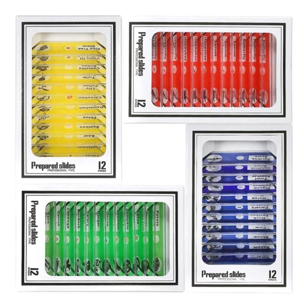 RIIPOO Prepared Microscope Slides for Kids, Biological Microscope Specimens Slides with Plants Flowers Insects Animals, 48PCS