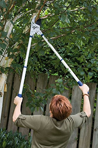 Spear & Jackson 8290RS Razorsharp Heavy Duty Telescopic Ratchet Anvil Loppers, Multicoloured