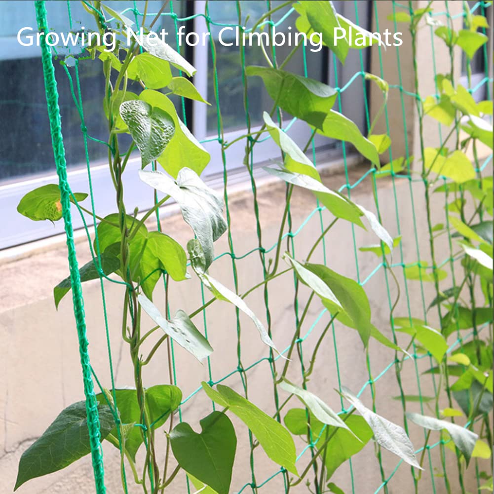 Plant Trellis Netting for Climbing Plants Outdoor Heavy Duty Plastic Garden Trellis Netting 27 Strands Plant Climbing Net Strong Support for Clematis, Cucumber,Tomatoes and Vine Plants (5.9x5.9FT)