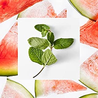 RAW SUGAR Moisture Loving Body Wash - Watermelon + Fresh Mint, Moisturizing & Refreshing Bath & Shower Gel, Formulated without Sulfates and Parabens & Vegan (Pack of 4)