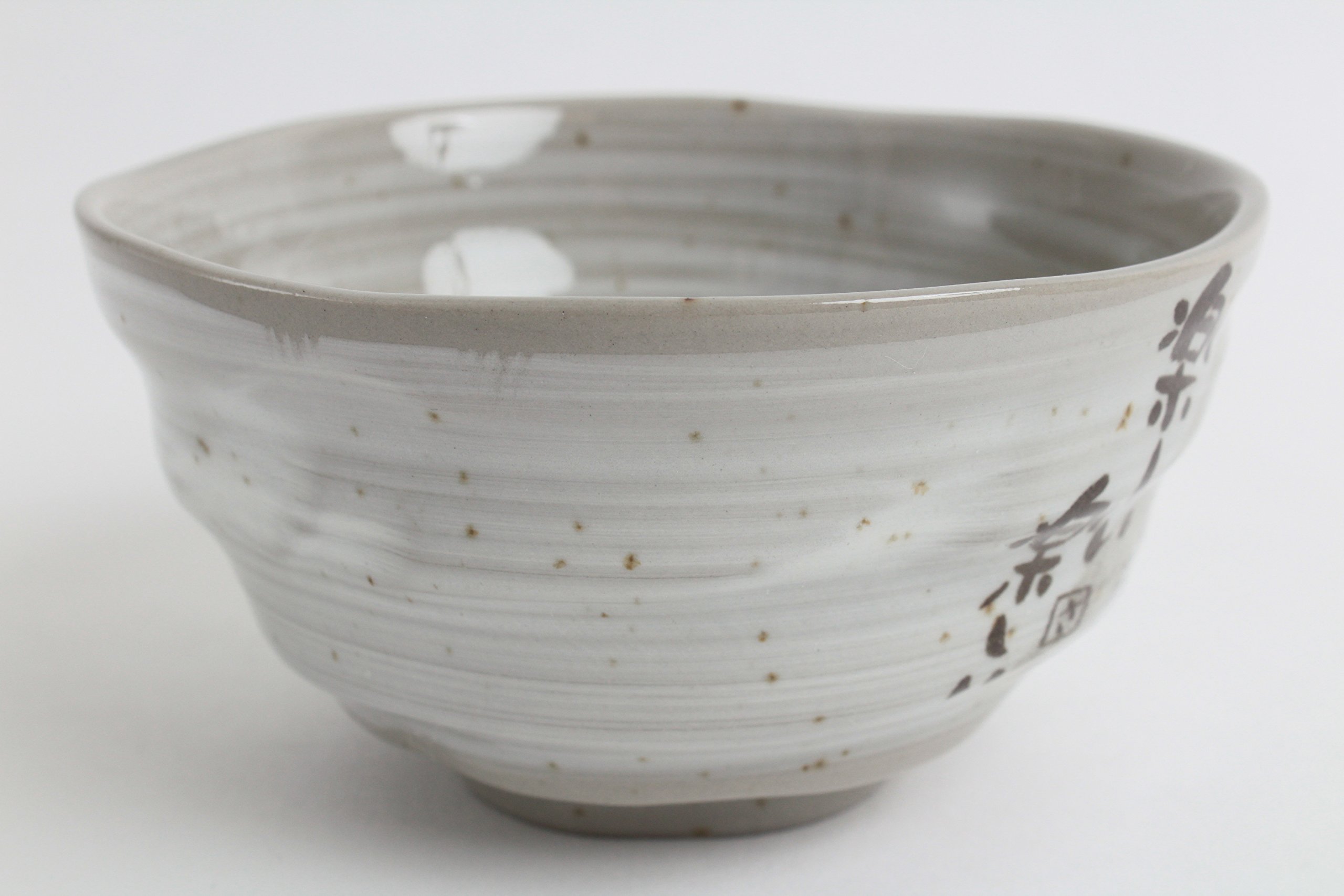 Mino ware Japanese Pottery Rice Bowl Running Rabbits Gray Sanaegama made in Japan (Japan Import) KSC002