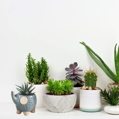 Needzo Mini Blue Ceramic Elephant Planter, Planters Pots for Succulents, Cute Elephants Decorations, Unique Gifts for Plant Lovers, 3.9 Inches