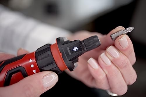 SKIL Rechargeable 4V Cordless Screwdriver with Circuit Sensor Technology, Includes 9pcs Bit, 1pc Bit Holder, USB Charging Cable - SD561201