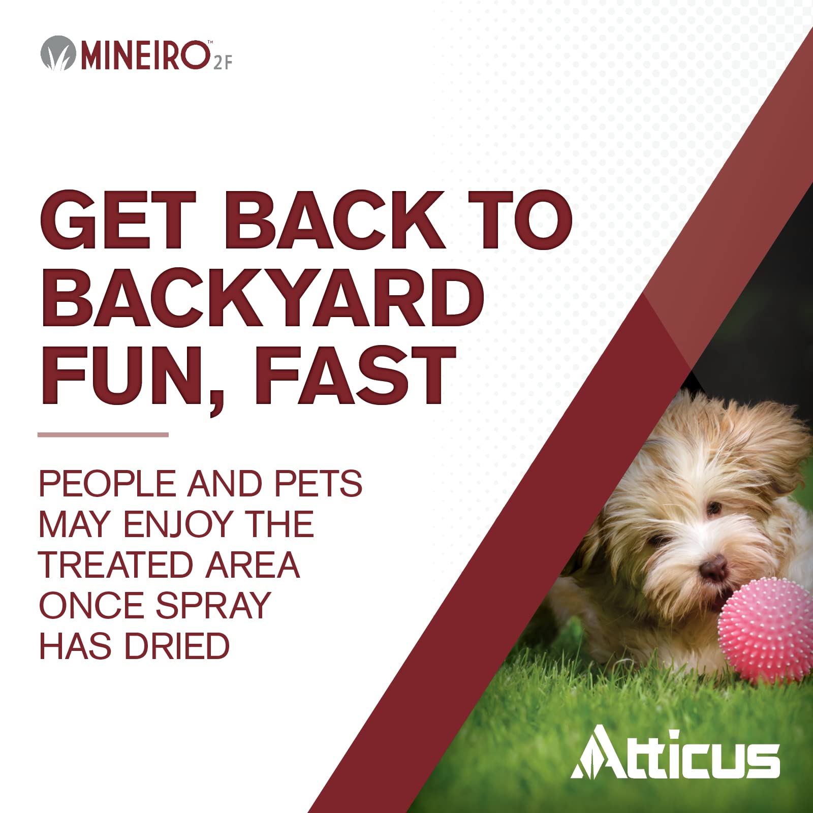 Mineiro 2F Imidacloprid Systemic Insecticide (1 Gal) by Atticus (Equivalent to The Leading Brand) β Grub and Insect Control in Lawns and Landscapes