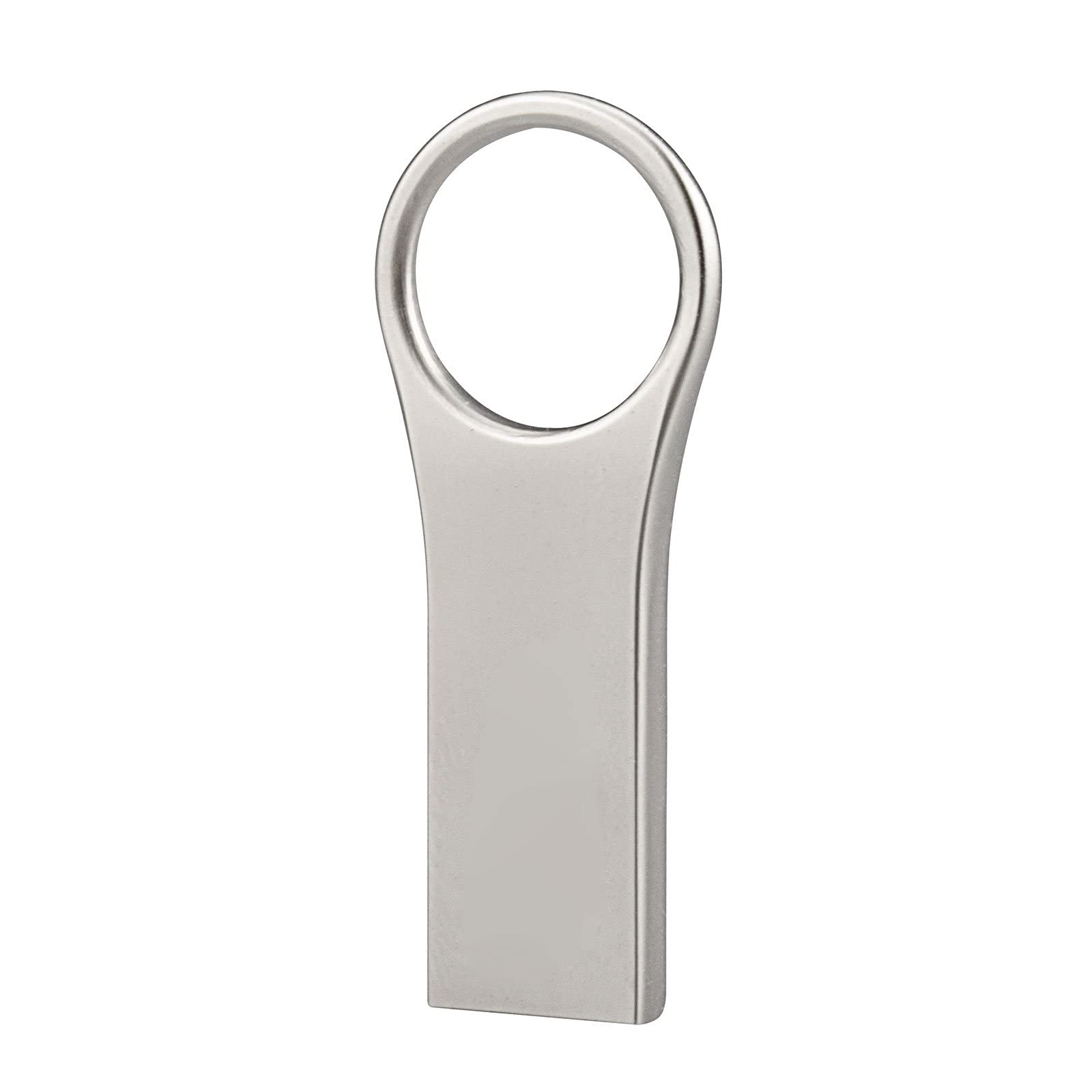RAOYI Custom Logo 100 Pcs 2GB Key USB Flash Drive USB 2.0 Memory Stick Bulk Thumb Drive Pen Drive Jump Drive-Silver