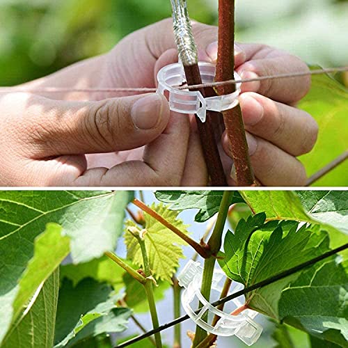 PUELDU Grafting Tool, Pruner Kit, Including Replacement Blades,Grafting Knife,Grafting Tapes,Plant Labels&Garden Clips,Perfect for Fruit Tree Grafting