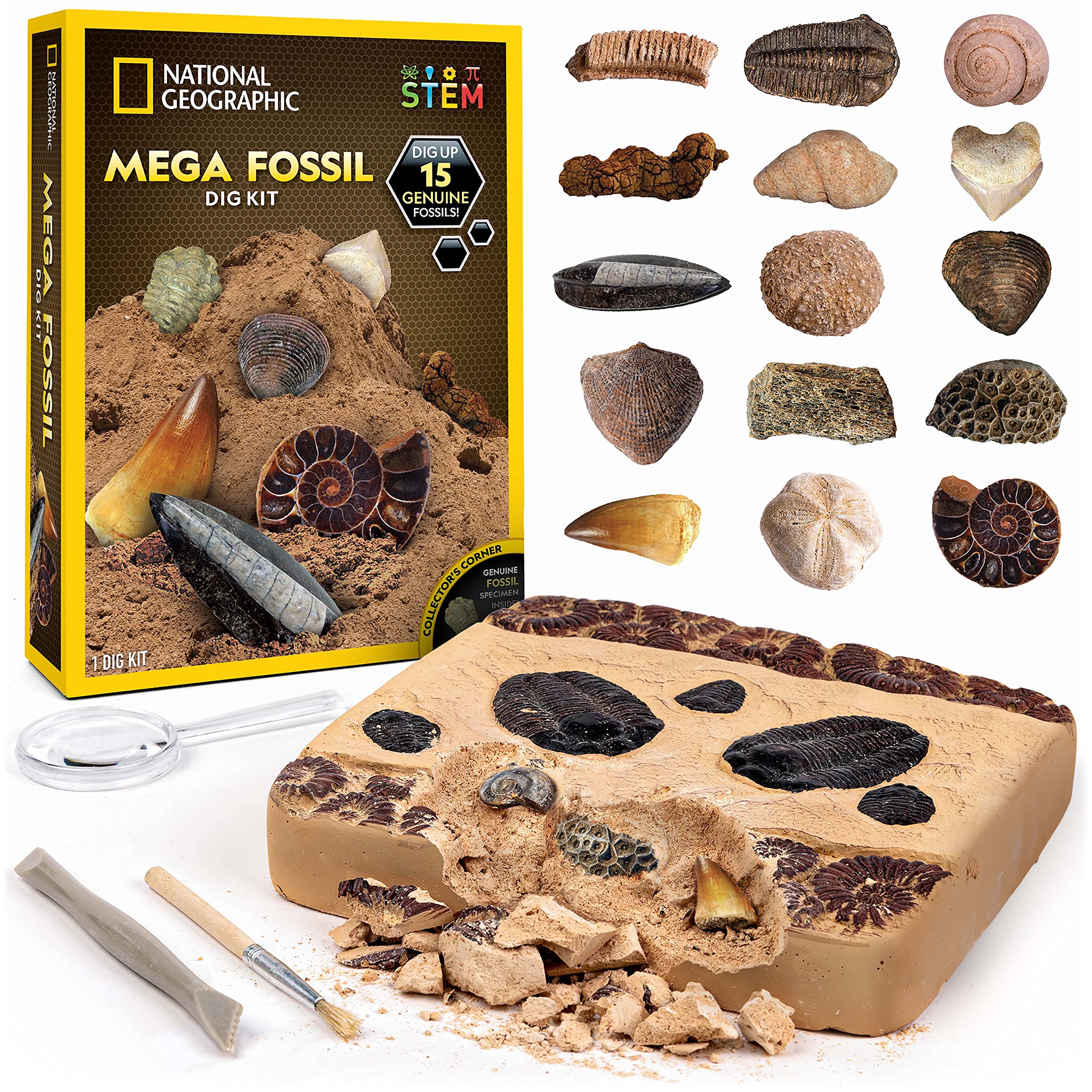 NATIONAL GEOGRAPHIC Rock Painting Kit Mega Fossil Dig Kit