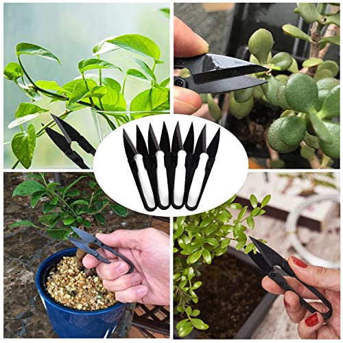 JINJIAN Bonsai Pruning Scissors 12PCS - Small Pruner Shears Bud Leaves Trimmer Garden Shears for Plants, Gardening Clippers for Flower Bonsai Trimming Pruners Trimmers Secateurs(BLACK)