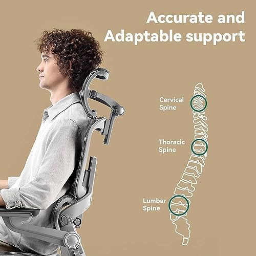 HINOMI H1 Pro 3D Lumbar Support Ergonomic Office - 5D Armrests Leg Rest Included Hybrid Mesh Relieve Back Pain, Foldable, Work from Home Office with Adjustable Headrest