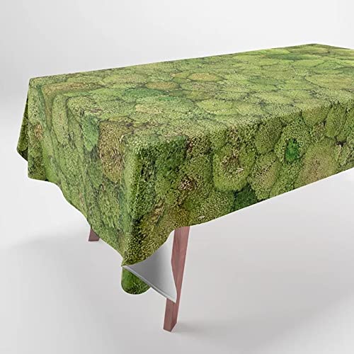 NUER Abstract Colorful Pattern Printed Tablecloth Home Decor Rectangle Party Tablecloth Stain Resistant Tablecloth Dust Cloth A8 140x210cm