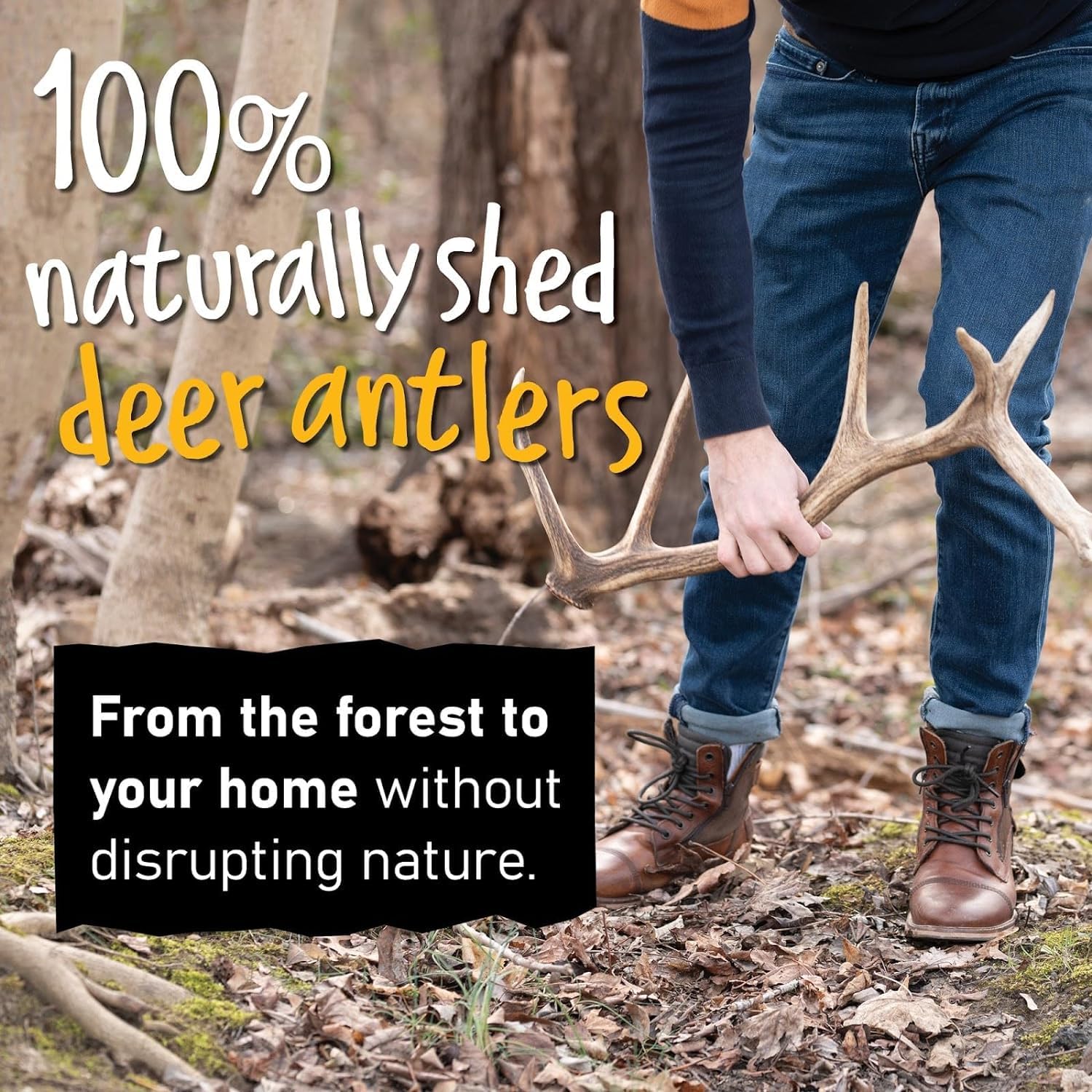 Snatchers Split Deer Antlers for Mild to Aggressive Chewers – Durable, Naturally Shed Antlers for Dogs Processed in The USA, No Additives (Large, 1 Count)
