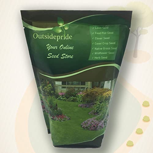 Outsidepride Buckwheat Cover Crop, Grain, Bee Pasture, Pollinator, Wildlife Seed - 10 LB