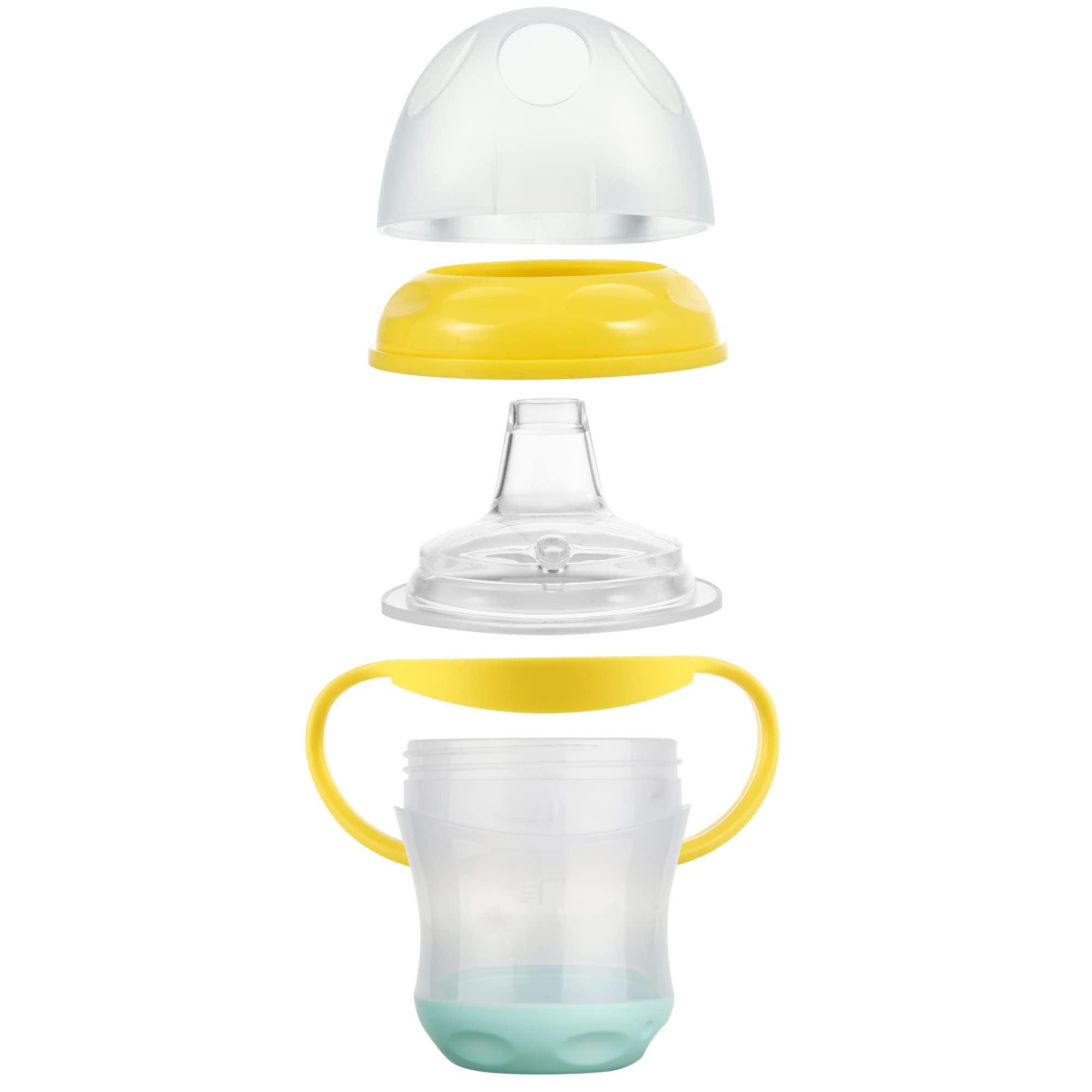 PandaEar Toddler Sippy Cup with Straw| Spill Proof Cup for Kids| Soft Spout Baby Training Drinking Cup| Water Bottle with Handle for Baby 6 months+| with 1 Replacement Silicone Spout