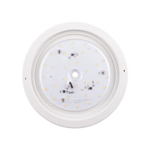 YoonLIT SMARTLIFE Outdoor LED Bulkhead Light, Flush Mount for Wall or Ceiling, 8.0 inch, 11.5W 900 Lumens, 5000K Daylight White, Aluminum Housing Plus Frosted Glass Cover, White Finish, 1-Pack