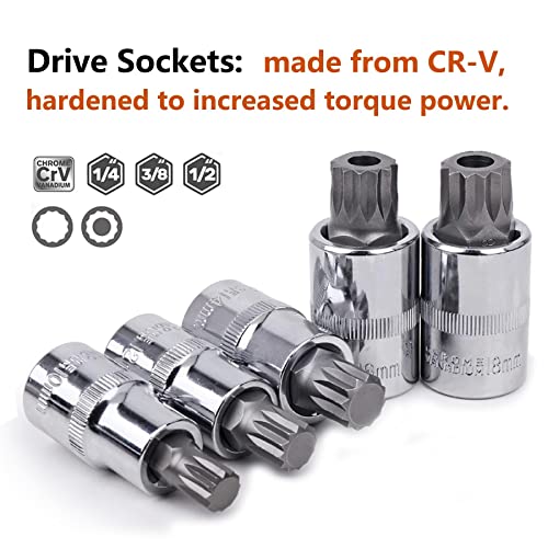 Qnkaa XZN Triple Square Spline Bit Socket Set 10pcs Silver M4 - M18, Premium S2 Alloy Steel, 1/4” 3/8” 1/2” Drive